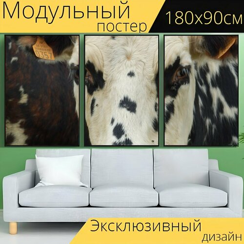 Модульный постер "Корова, жвачных животных, млекопитающее" 180 x 90 см. для интерьера