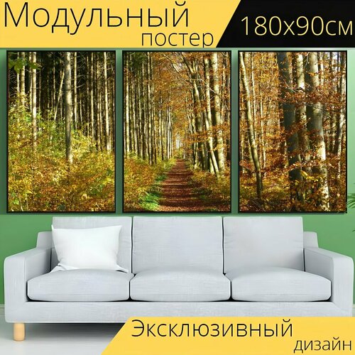 Модульный постер "Осеннее настроение, лесная тропа, ходить" 180 x 90 см. для интерьера