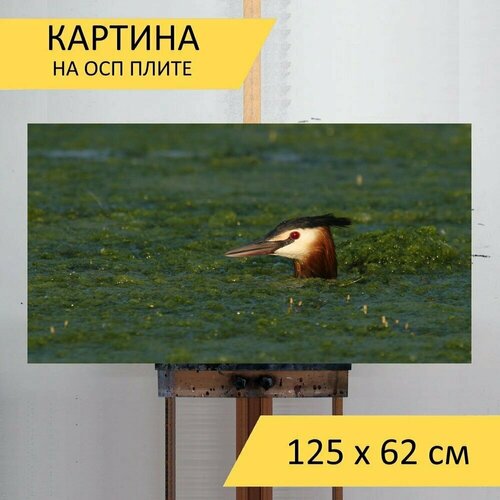 Картина на ОСП 125х62 см. "Поганка, птица, воды" горизонтальная, для интерьера, с креплениями