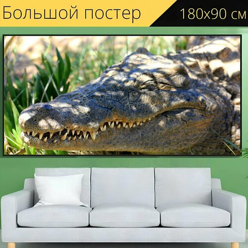 Большой постер "Крокодил, зубы, челюсти" 180 x 90 см. для интерьера