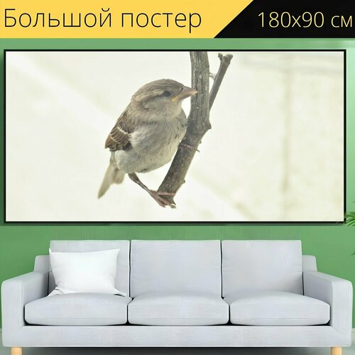Большой постер "Птица, животное, природа" 180 x 90 см. для интерьера