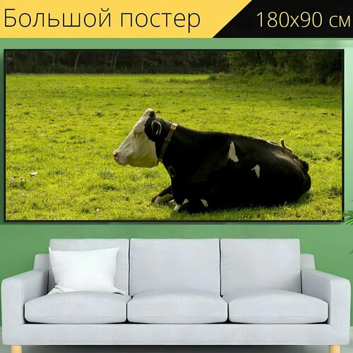 Большой постер "Корова, мир, старый" 180 x 90 см. для интерьера