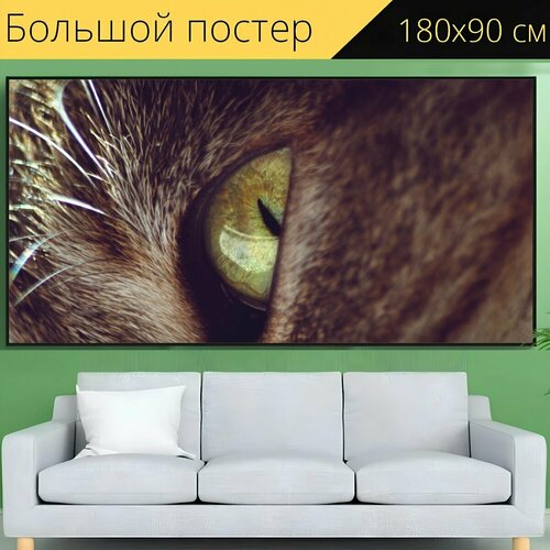 Большой постер "Кошачий глаз, макрос, животное" 180 x 90 см. для интерьера
