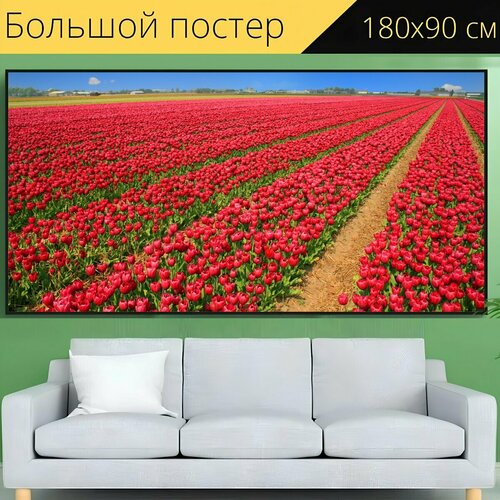 Большой постер "Поле тюльпанов, тюльпаны, красный" 180 x 90 см. для интерьера