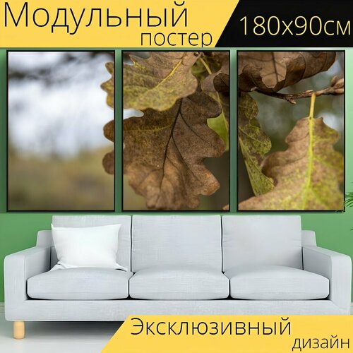Модульный постер "Осень, листья, дуб" 180 x 90 см. для интерьера