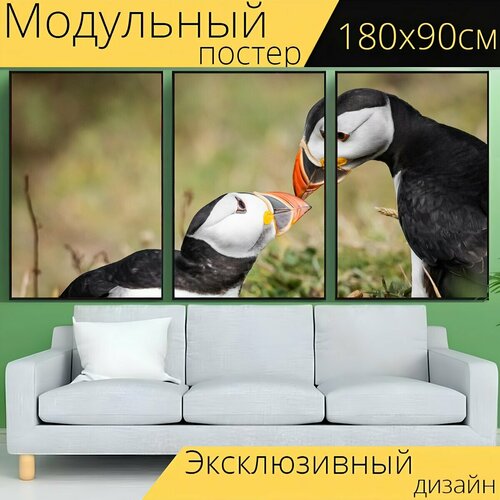 Модульный постер "Тупики, птицы, природа" 180 x 90 см. для интерьера