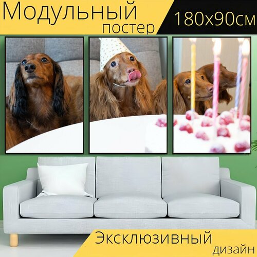 Модульный постер "Домашний питомец, собака, такса" 180 x 90 см. для интерьера