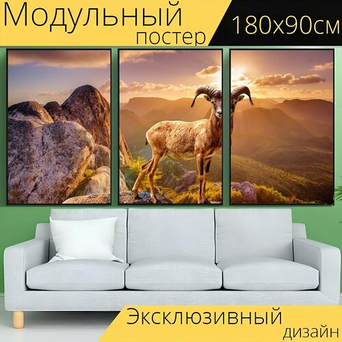 Модульный постер "Дикая природа, животное, горные породы" 180 x 90 см. для интерьера