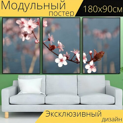 Модульный постер "Вишня в цвету, цвести, весна" 180 x 90 см. для интерьера
