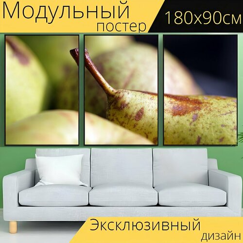 Модульный постер "Груши, фрукты, еда" 180 x 90 см. для интерьера