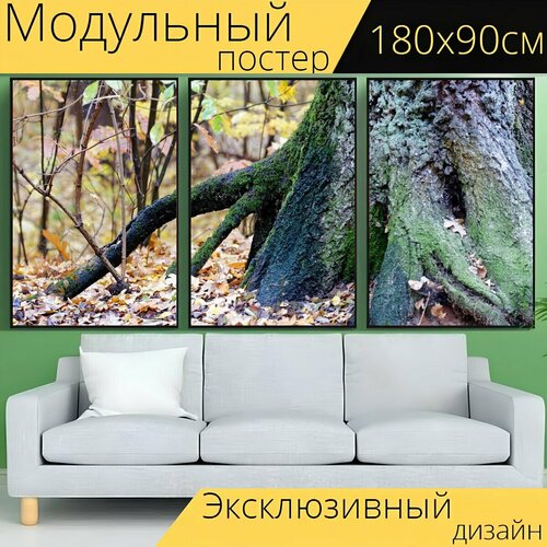 Модульный постер "Дерево, корни, лес" 180 x 90 см. для интерьера