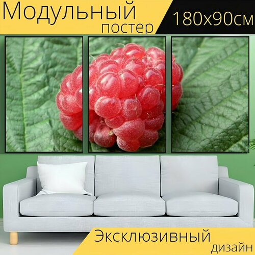 Модульный постер "Ягоды, малина, фрукты" 180 x 90 см. для интерьера
