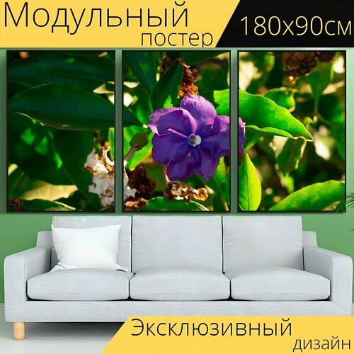 Модульный постер "Цветок, сад, ботанический" 180 x 90 см. для интерьера