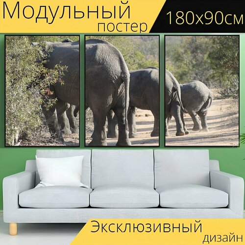 Модульный постер "Слоны, семья, африка" 180 x 90 см. для интерьера