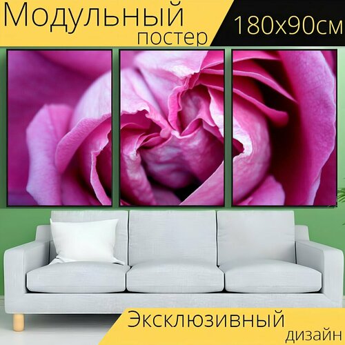 Модульный постер "Роуз, роза, цветок" 180 x 90 см. для интерьера
