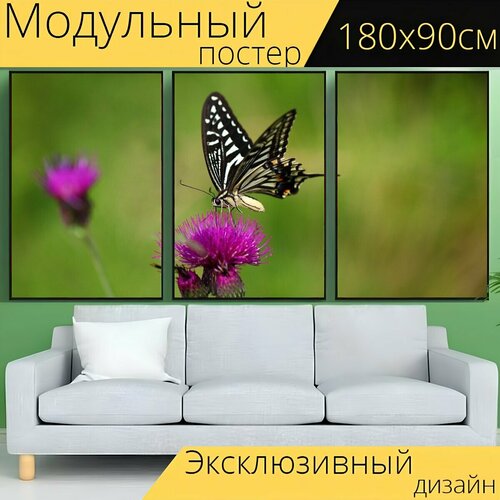 Модульный постер "Природа, бабочка, насекомые" 180 x 90 см. для интерьера