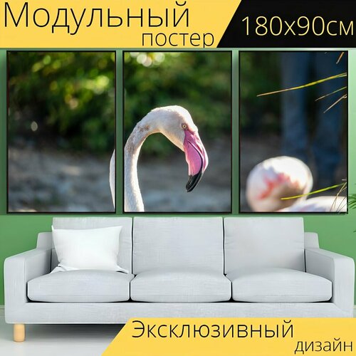 Модульный постер "Фламинго, птица, лицо" 180 x 90 см. для интерьера