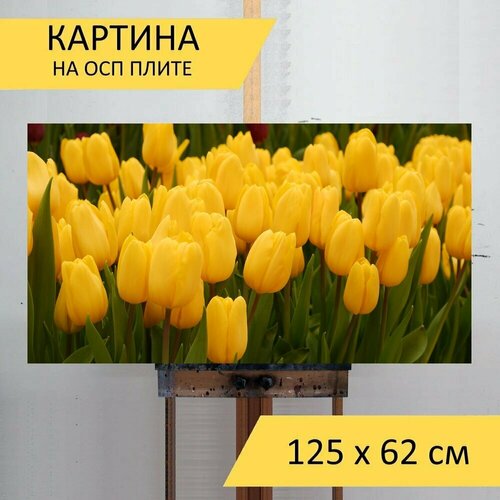 Картина на ОСП 125х62 см. "Тюльпаны, жёлтые, цветы" горизонтальная, для интерьера, с креплениями