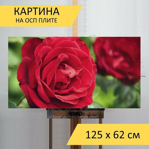 Картина на ОСП 125х62 см. "Роза, цветок, красный" горизонтальная, для интерьера, с креплениями