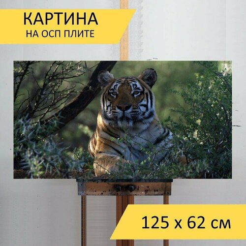 Картина на ОСП 125х62 см. "Тигр, животное, дикая природа" горизонтальная, для интерьера, с креплениями