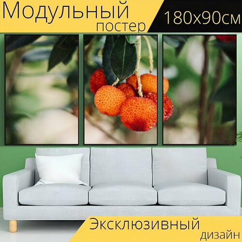 Модульный постер "Клубничное дерево, фрукты, витамины" 180 x 90 см. для интерьера