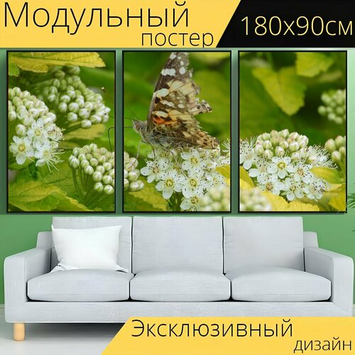 Модульный постер "Бабочка, весна, красочный" 180 x 90 см. для интерьера