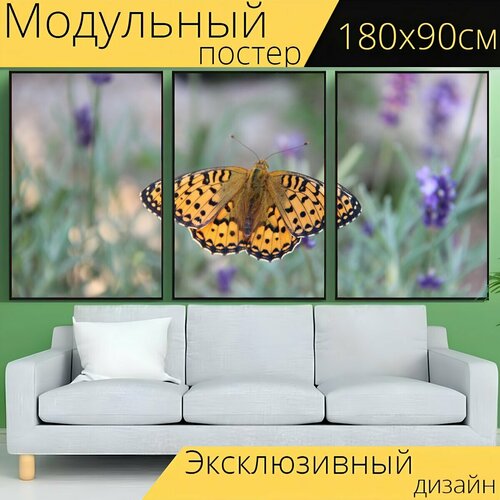 Модульный постер "Бабочка, жемчужный, природа" 180 x 90 см. для интерьера