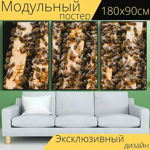 Модульный постер "Пчела, улей, насекомое" 180 x 90 см. для интерьера