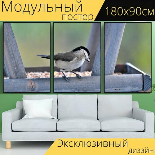 Модульный постер "Птица, подробнее можно прочитать, кормушка" 180 x 90 см. для интерьера
