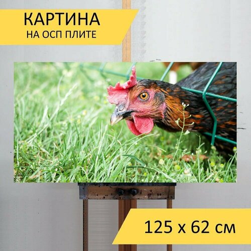 Картина на ОСП 125х62 см. "Курица, трава, птица" горизонтальная, для интерьера, с креплениями
