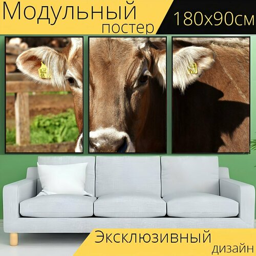 Модульный постер "Корова, говядина, морда" 180 x 90 см. для интерьера