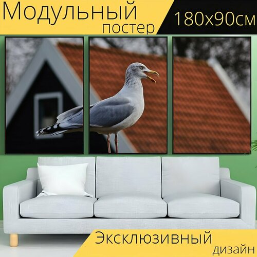 Модульный постер "Чайка, птица, перья" 180 x 90 см. для интерьера