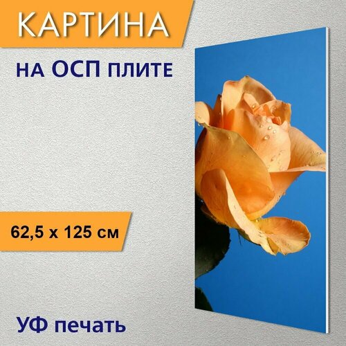 Вертикальная картина на ОСП "Роза, апельсин, небеса" 62x125 см. для интерьериа
