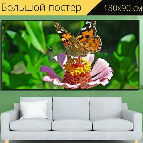 Большой постер "Бабочка, насекомое, цветок" 180 x 90 см. для интерьера