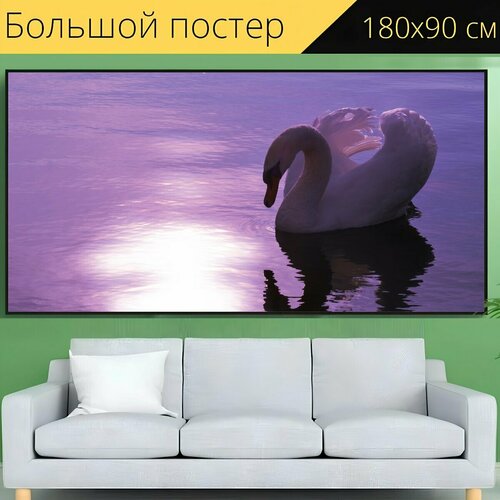Большой постер "Лебедь, озеро, птица" 180 x 90 см. для интерьера