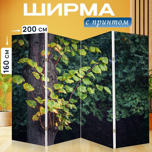 Ширма перегородка с принтом "Дерево, листья, листва" на холсте - 200x160 см. для зонирования, раскладная