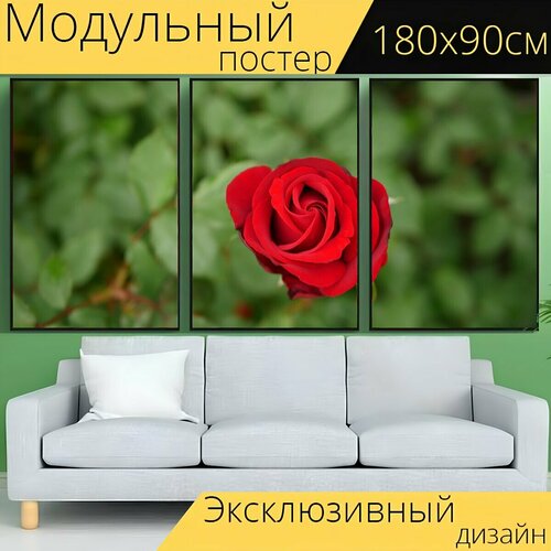 Модульный постер "Роза, сад, цветок" 180 x 90 см. для интерьера