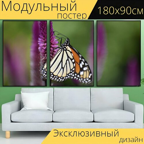 Модульный постер "Бабочка монарх, бабочка, цветок" 180 x 90 см. для интерьера