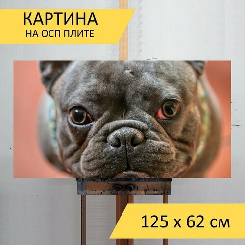 Картина на ОСП 125х62 см. "Собака, животное, домашнее животное" горизонтальная, для интерьера, с креплениями