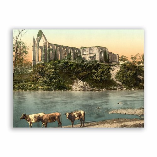 Постер, плакат на бумаге / Abbey from the river, Bolton Abbey, England / Размер 40 x 53 см