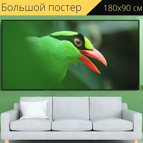 Большой постер "Яванская зеленая сорока, птица, животное" 180 x 90 см. для интерьера