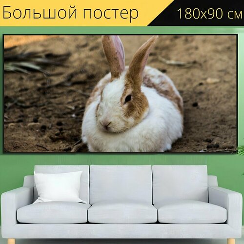 Большой постер "Кролик, заяц, животное" 180 x 90 см. для интерьера