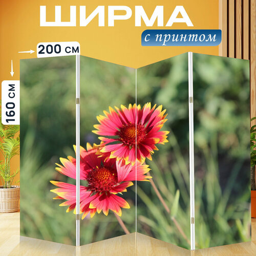 Ширма перегородка с принтом "Дерзкий, цветы, цветение" на холсте - 200x160 см. для зонирования, раскладная