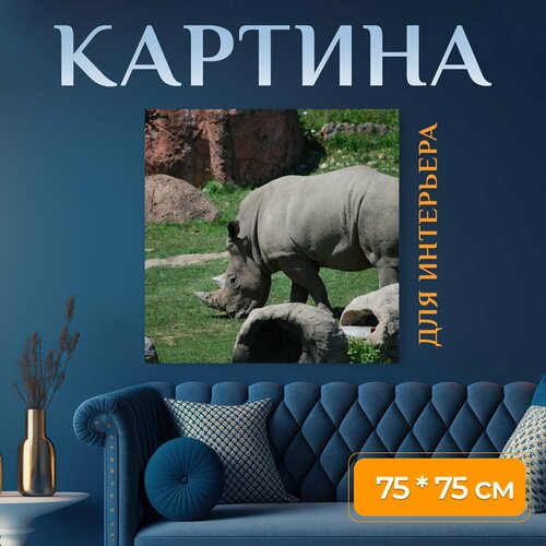 Картина на холсте "Зоопарк, носорог, рог" на подрамнике 75х75 см. для интерьера