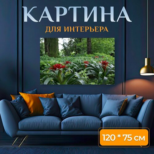 Картина на холсте "Бромелия, сад, тропический" на подрамнике 120х75 см. для интерьера