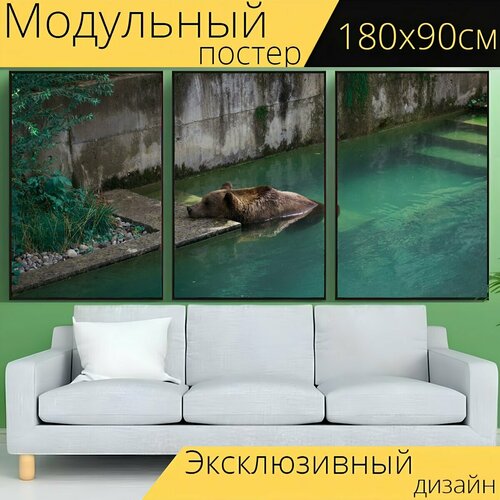 Модульный постер "Нести, берн, медвежья яма" 180 x 90 см. для интерьера