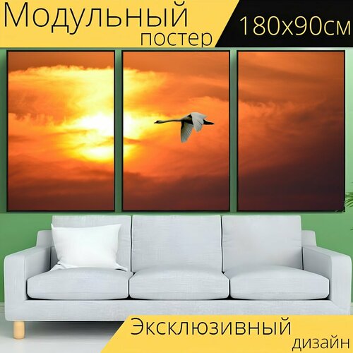 Модульный постер "Заход солнца, небеса, канун" 180 x 90 см. для интерьера