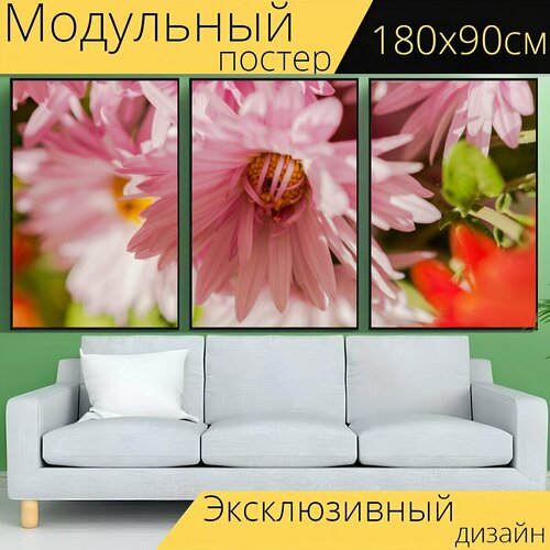 Модульный постер "Хризантема, осенние цветы, розовый" 180 x 90 см. для интерьера