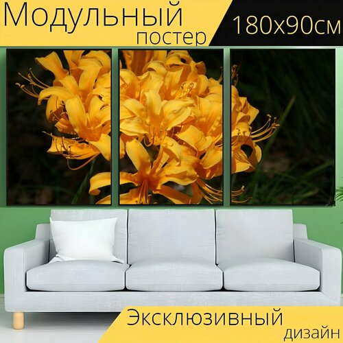 Модульный постер "Апельсин, цветок, лилия" 180 x 90 см. для интерьера