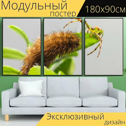 Модульный постер "Гусеница, личинка, бабочка" 180 x 90 см. для интерьера